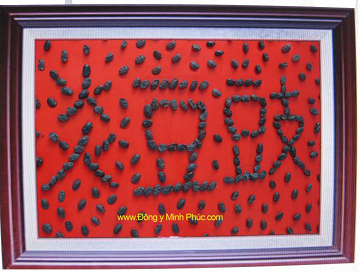 VỊ THUỐC ĐẠM ĐẬU SỊ 淡豆豉